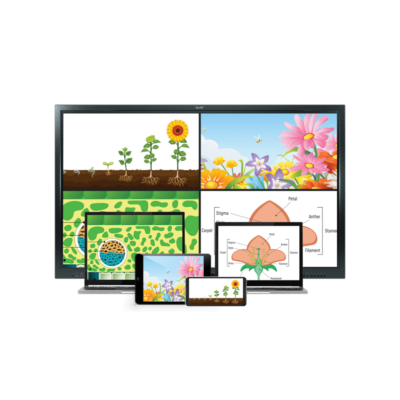 SMART Board GX165-V2 65” 4K Interactive Flat Panel – System Max